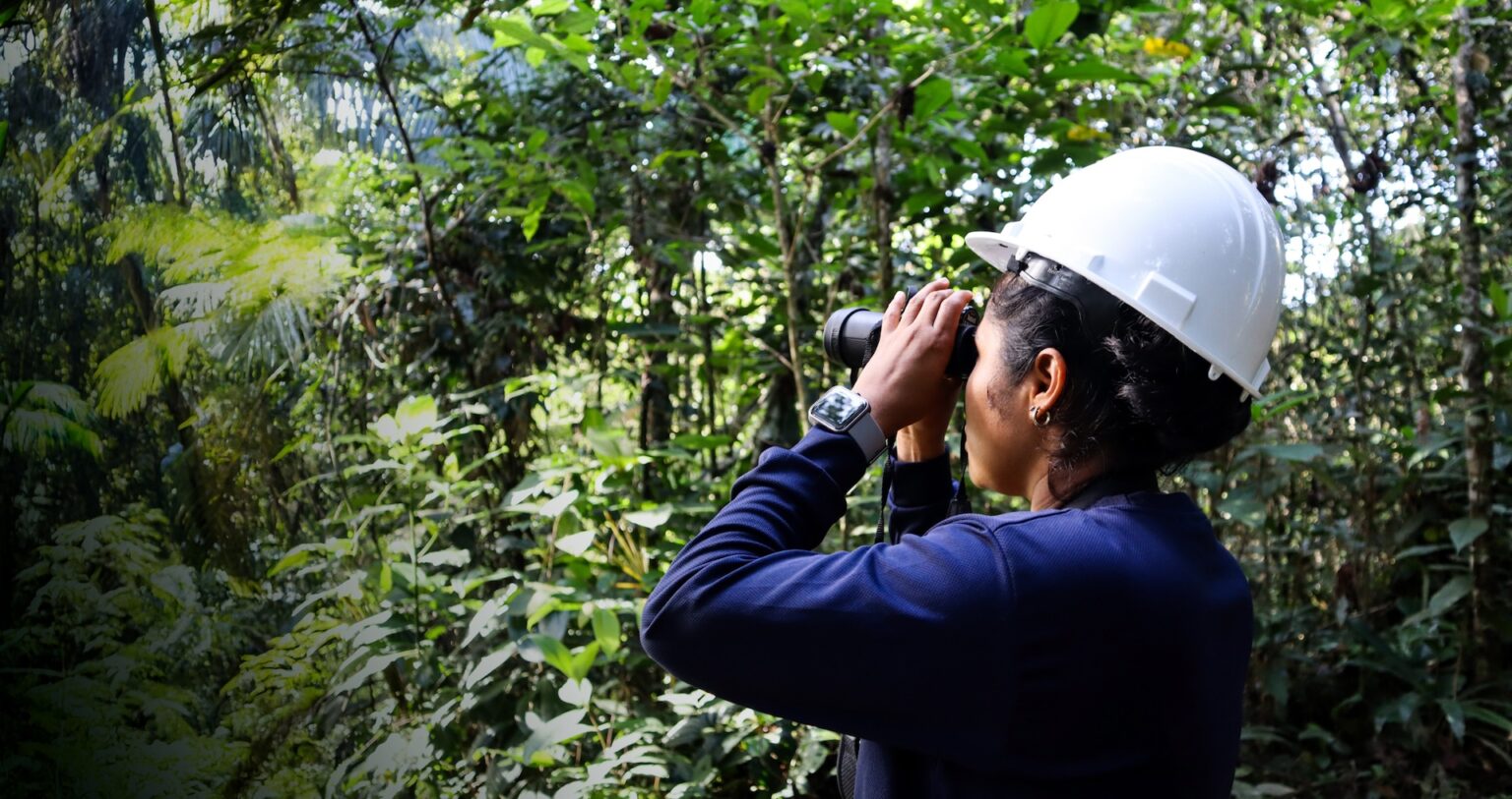 Cobre Panamá — First Quantum Minerals